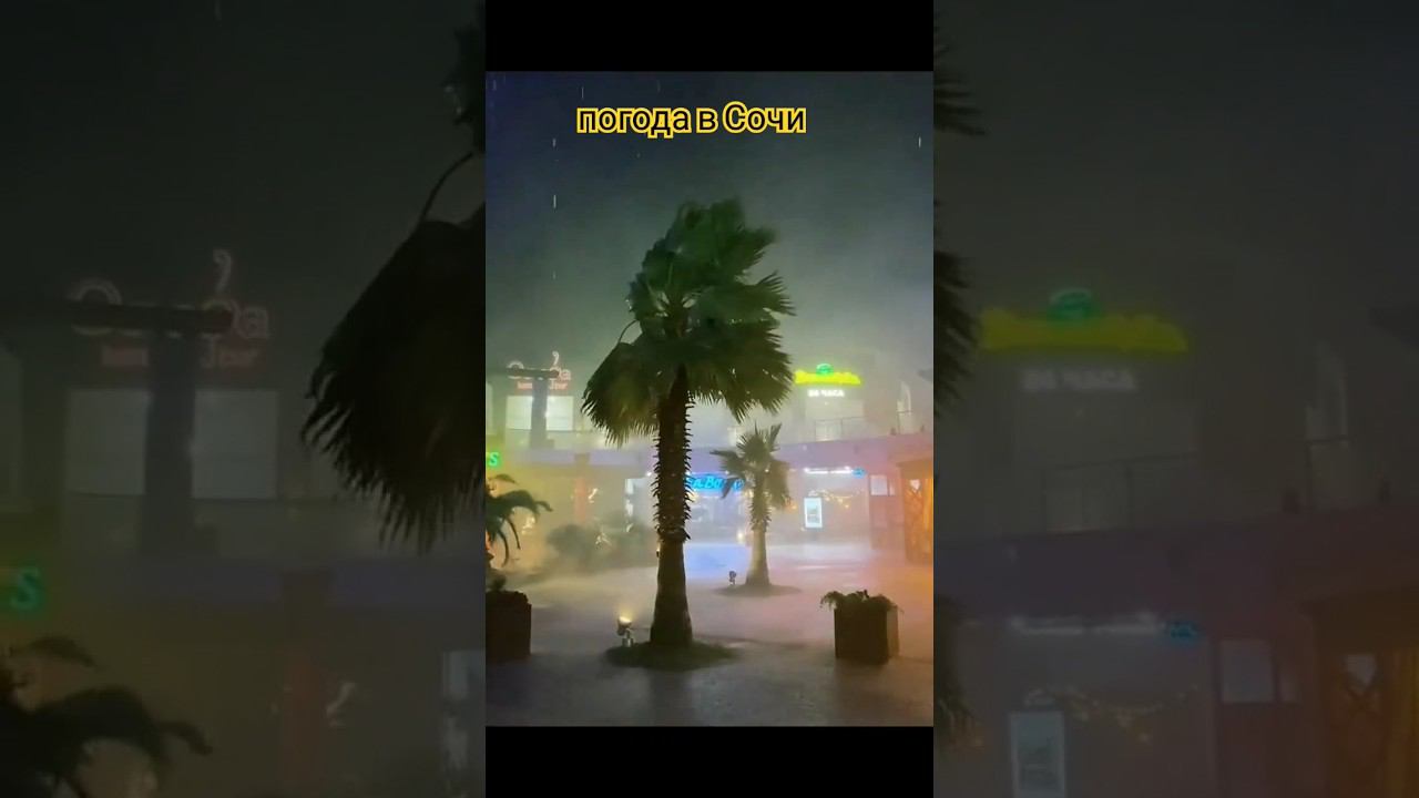 Погода в Сочи 2024⛈️️ Ливни в Сочи⛈️ #shorts #сочи
