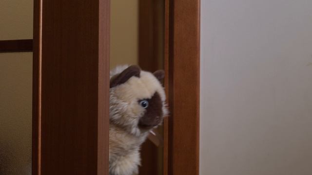 1 блок 1 неделя