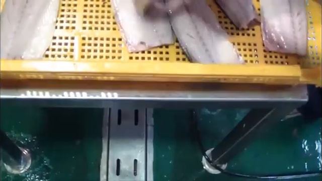 Машина филетировочная CHMF801 CHAMCO для сельди, скумбрии, щука и лососевые мелкие форель, горбуша