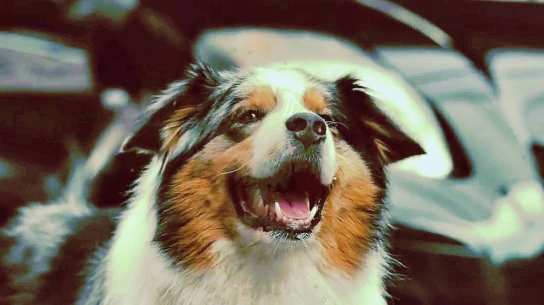 Фантастические фильмы ужасов 2023, которые перевернут ваше представление о реальности