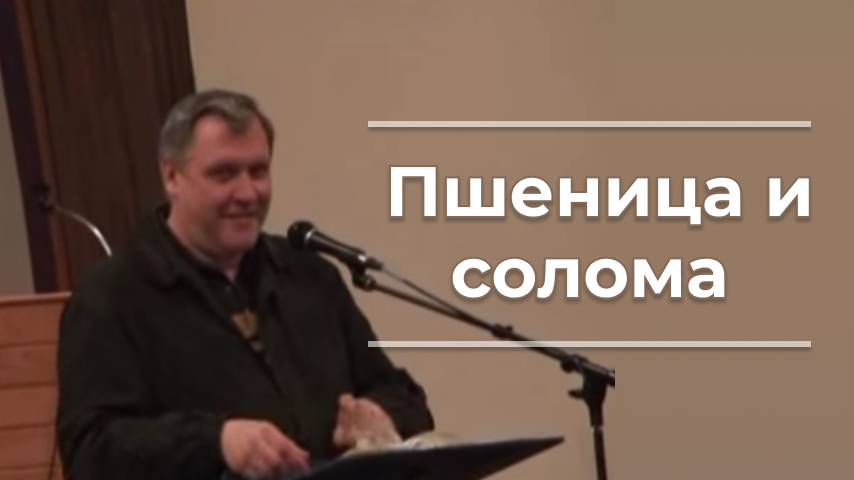 VAS-179 Пшеница и солома.mp4