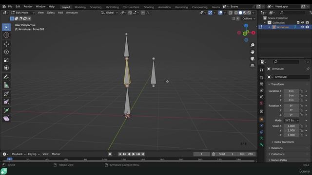 13. Основы костей