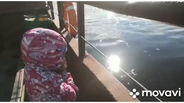 Архив. Дорога из Петербурга в Усинск. Три дня в пути. Сент. 2021г.