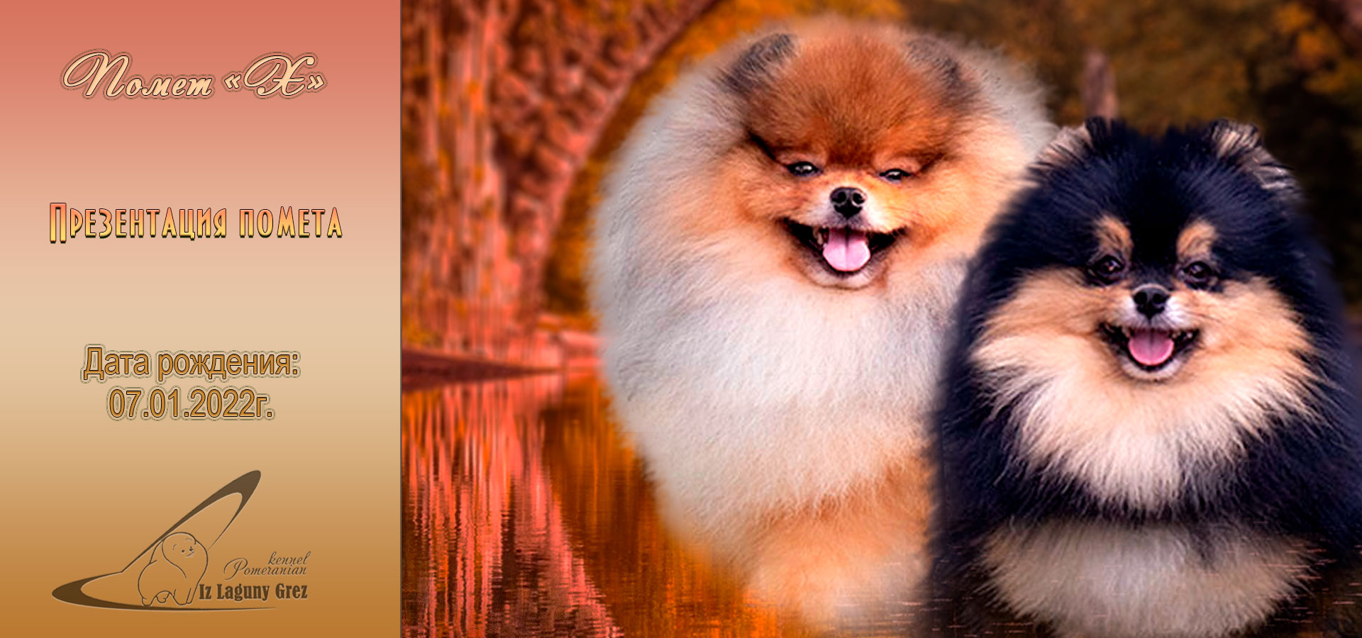 Презентация помета "Х"