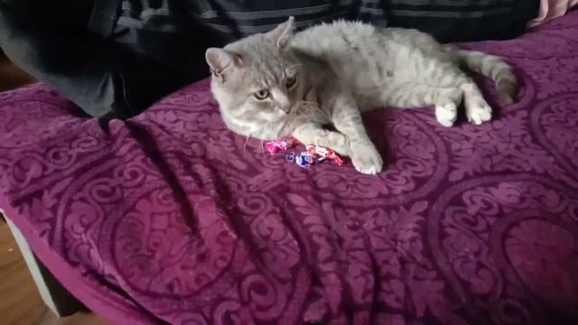 Поиграемся немножка