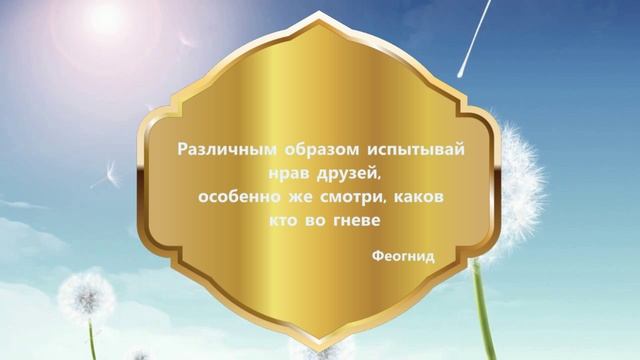 Слайд-шоу "Мудрые мысли о друзьях"