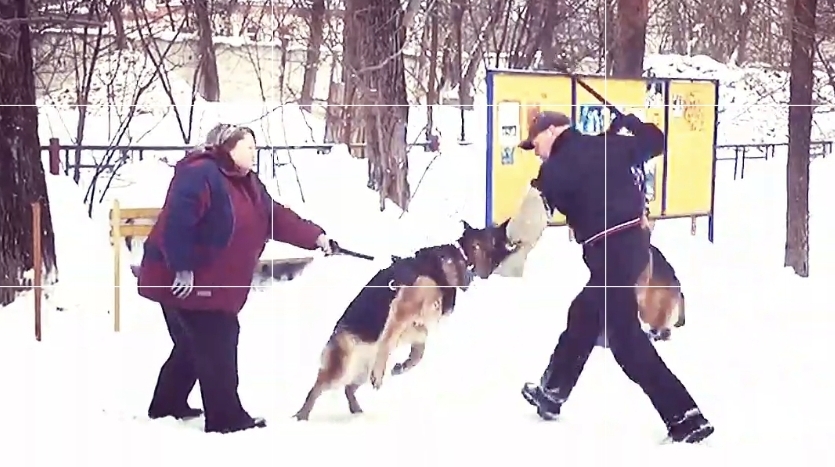 Занятия по Защино-Караульной Службе
