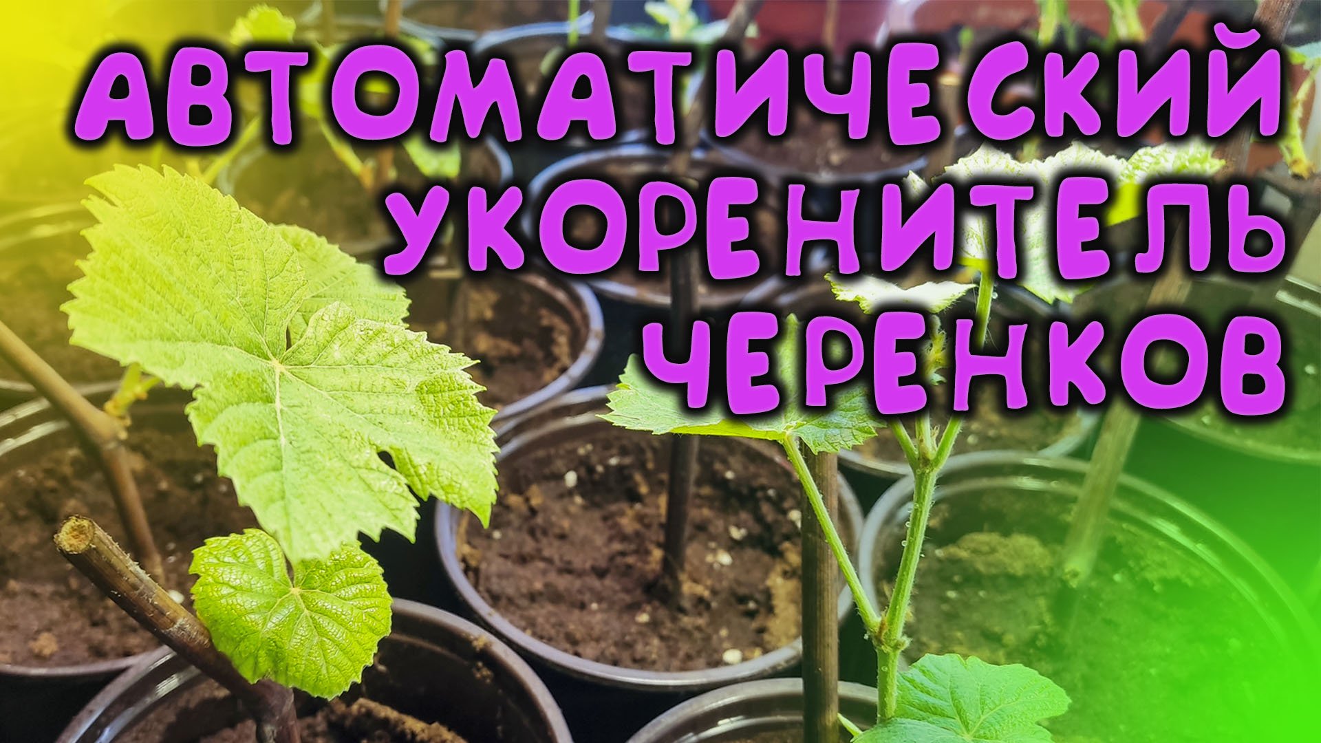 АВТОМАТИЧЕСКИЙ УКОРЕНИТЕЛЬ ВИНОГРАДНЫХ ЧЕРЕНКОВ ВСЕ СДЕЛАЕТ САМ / МИНИ КИЛЬЧЕВАТОР СВОИМИ РУКАМИ