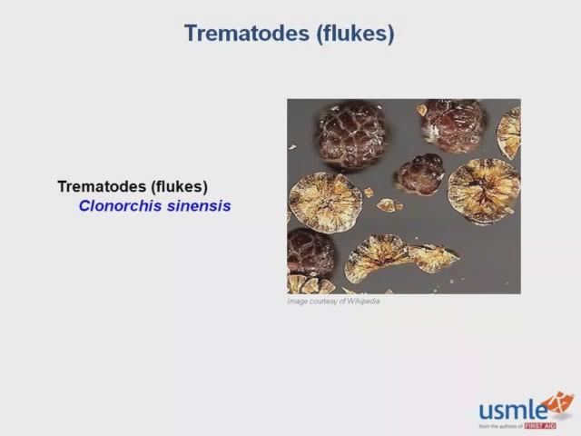 USMLE RX - 7.Микробиология - 5.Паразитология - 9.Трематоды (двуустки)