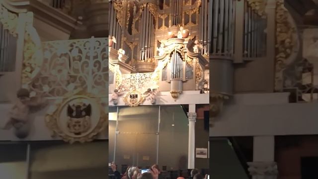 Оказывается у самого большого органа России есть забавные ангелочки.