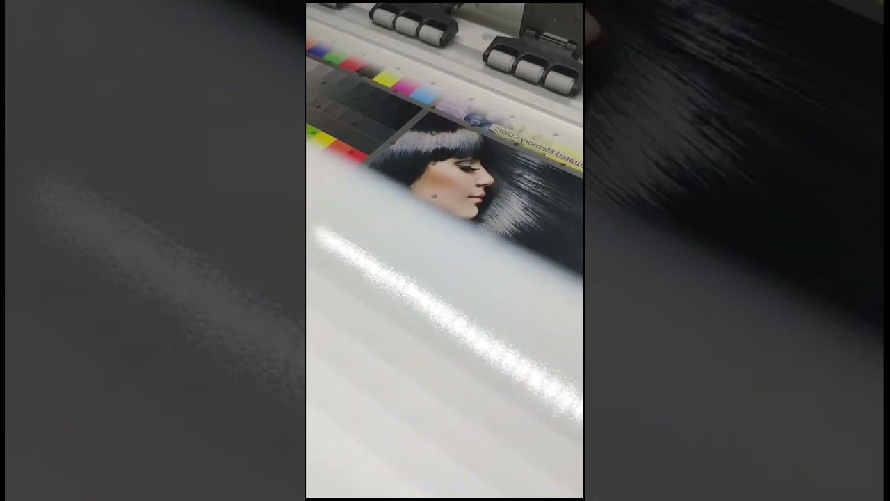 Принтер для DTF печати AUDLEY(DTFSTAR) ZX6002, (комплект с шейкер сушкой)