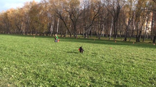 Елена и Ума - фризби-фристайл.mp4