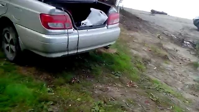 Лиса на рыбалке