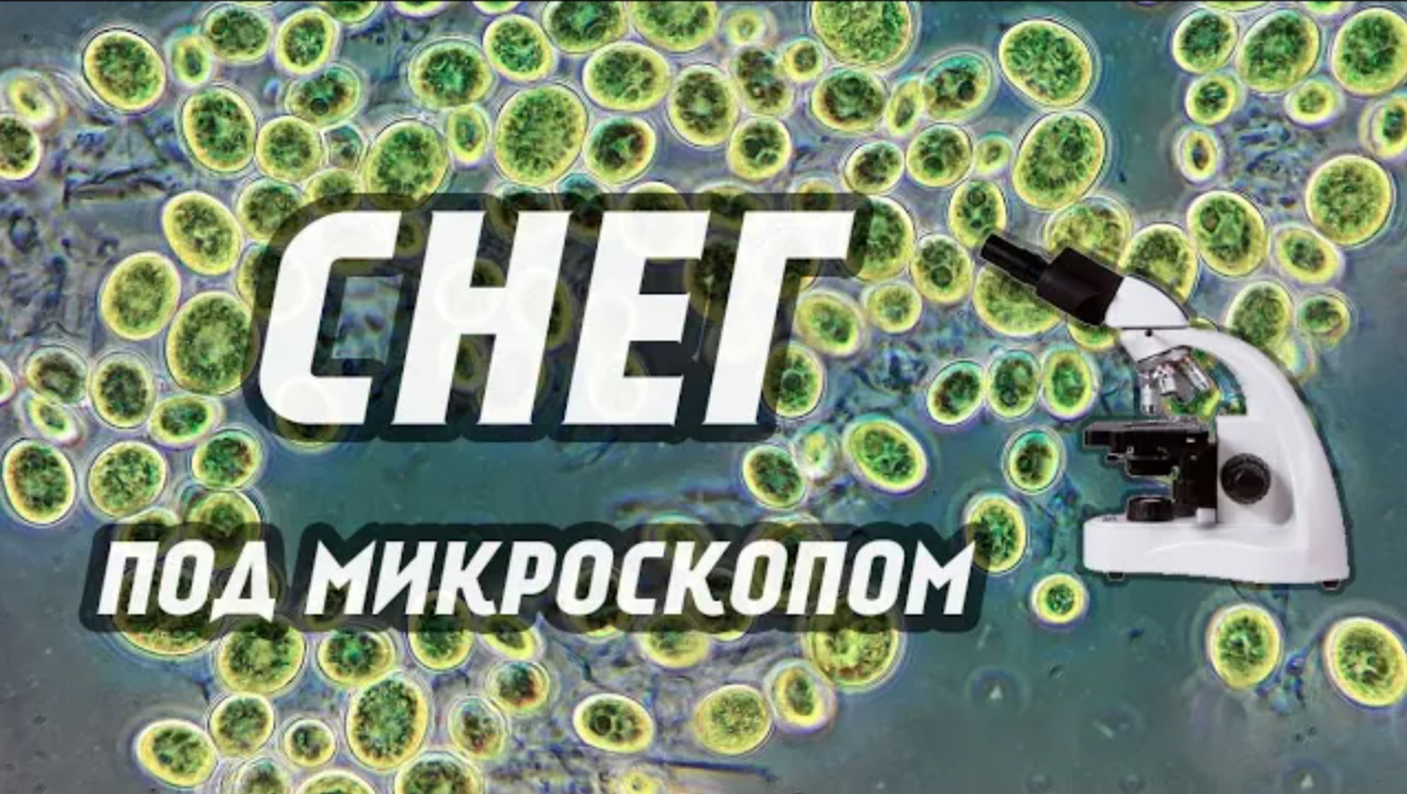 Что скрывает cнег под микроскопом