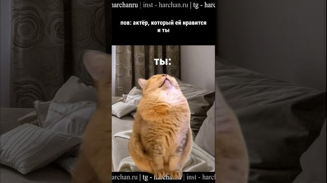 а бывает наоборот?)) #harchan