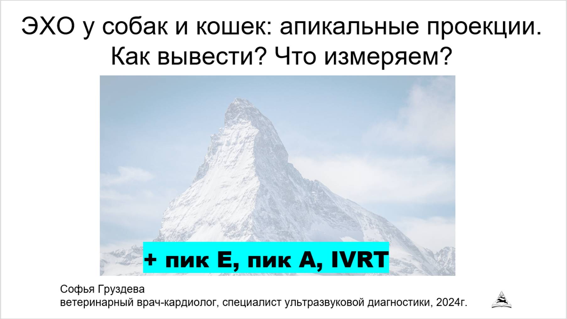 Апикальные проекции | ЭХО собаке и кошке | Диастолическая функция ЛЖ | Фракция выброса | IVRT, пики