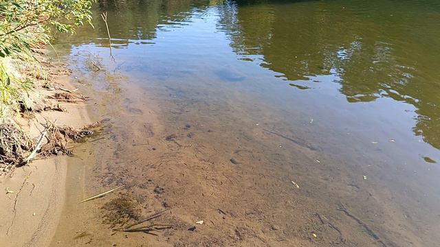 Пляж Песчанка. Жуковка 15.09.2024.