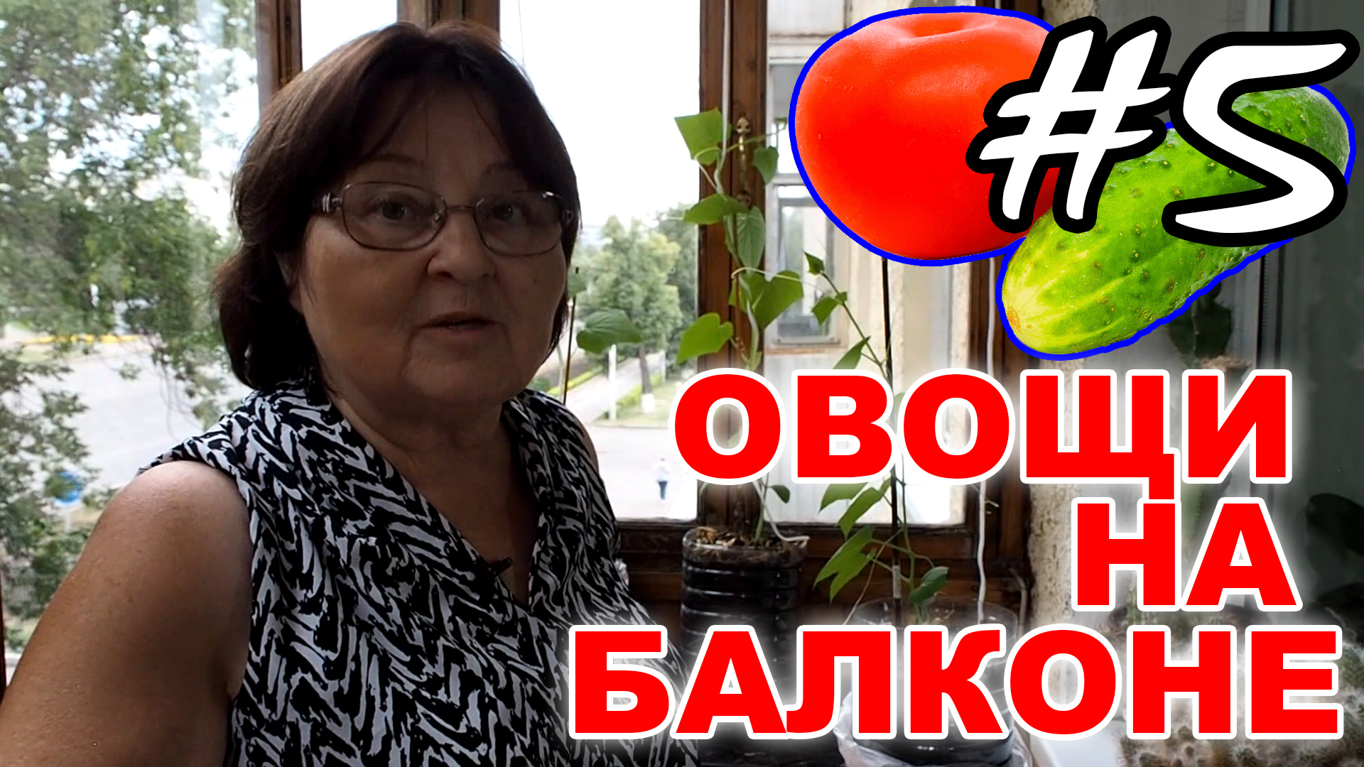 Выращиваем овощи огурцы и помидоры на балконе. Эксперимент - #5