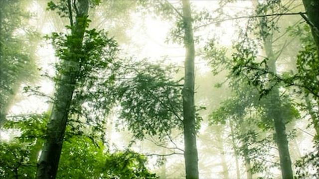 Релакс музыка Музыка массаж