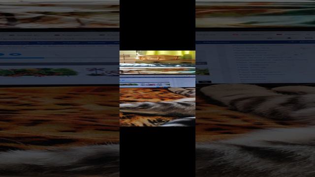 Фаня и сказка про муравьишку