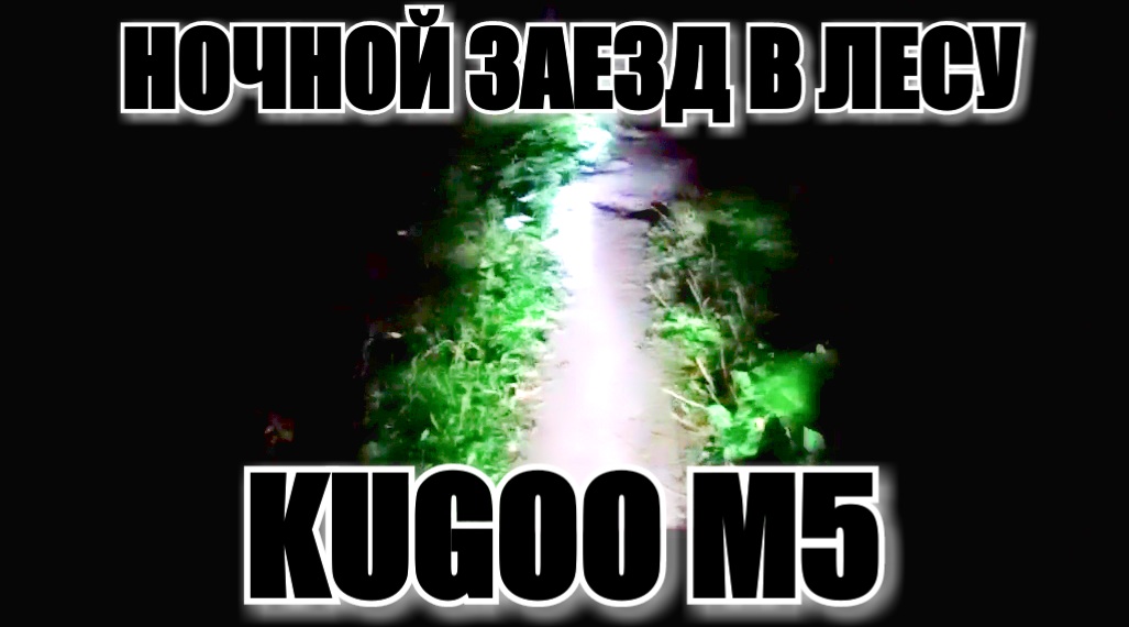НОЧЬЮ В ЛЕСУ НА KUGOO М5