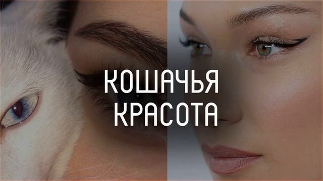 Кошачья красота l тихий саблиминал l Mila