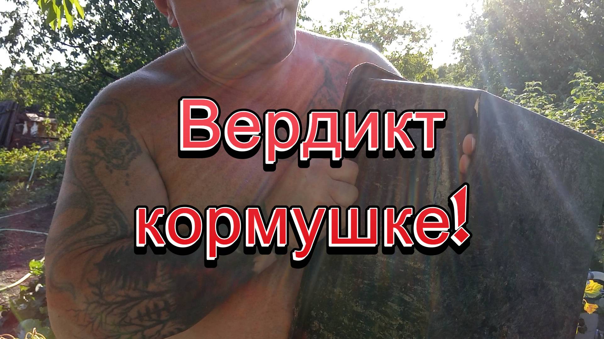 Вердикт кормушке!