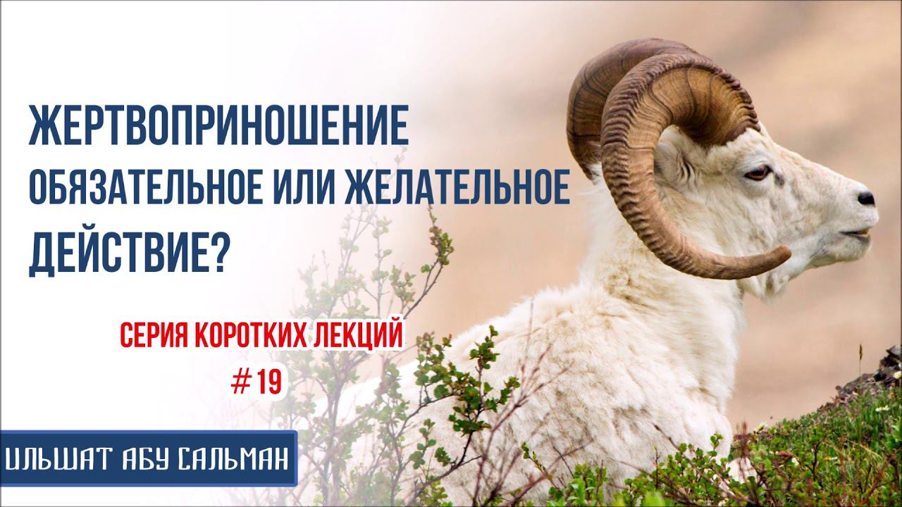 Ильшат Абу Сальман. Жертвоприношение обязательное или желательное действие? Лекции Курбан-Байрам