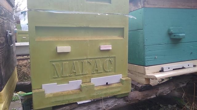 Чем обрабатывать пчел от клеща в прохладную погоду. С помощью дымаря Varrojet избавляюсь от клеща.