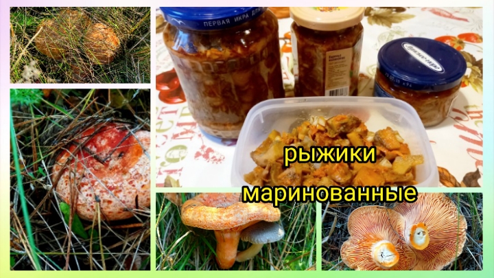 ‼️РЫЖИКИ  маринованные холодным способом ??‼️
