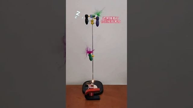 Смешные три дятла