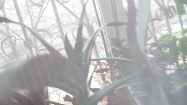 31.03.23-день 74