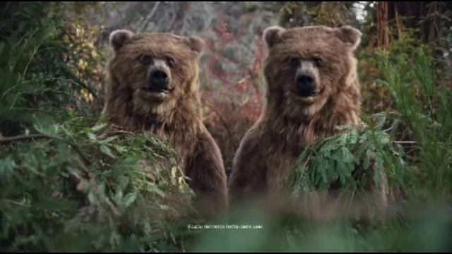 Баребушки #7 /подборка смешных видео/приколы/видосы/