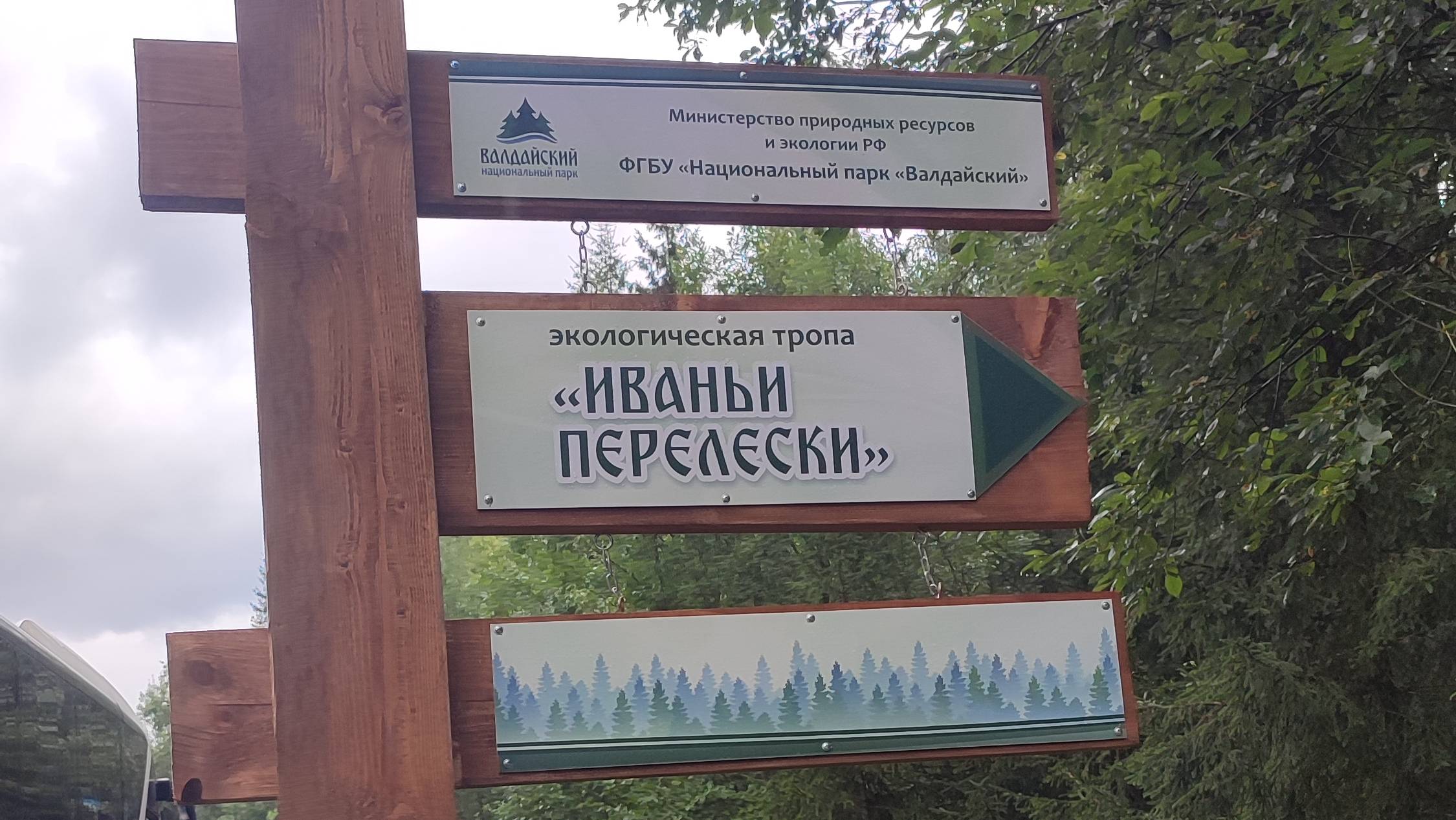 ЭКОТРОПА  “ИВАНЬИ-ПЕРЕЛЕСКИ”. СМОТРОВАЯ ПЛОЩАДКА. ВАЛДАЙ 10.08.21