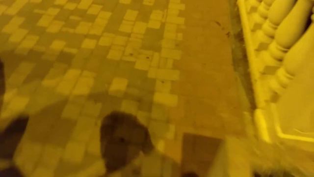 новопятигорское озеро 2021