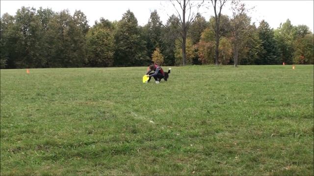 USDDN WF QUALIFIER Маргарита и Иви R2.mp4