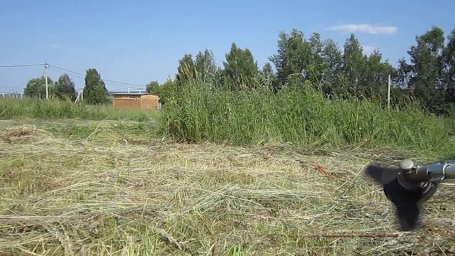 Строю дом сам  #4 Кошу и собираю сено в копёшки Теперь виден рельеф и контур  участка