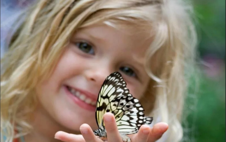 Маленькие капельки добра... Автор текста Ирена Буланова. Стихи о жизни.