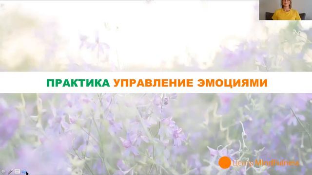 Лето в стиле mindfulness 3.0 - Неделя #3 - Эмоции. Практика управления эмоциями