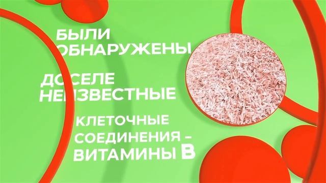 Видеоролик – Витамин B