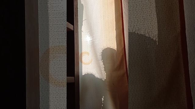 Театр теней. Зеленушка