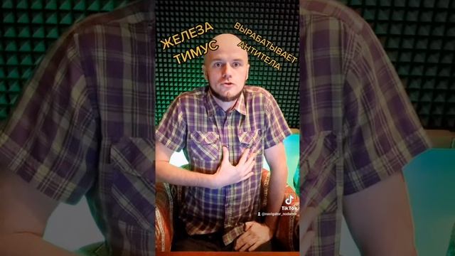 Na_No-практика: ИММУНИТЕТ. Вилочковая железа, Тимус - вырабатывает антитела к вирусам!