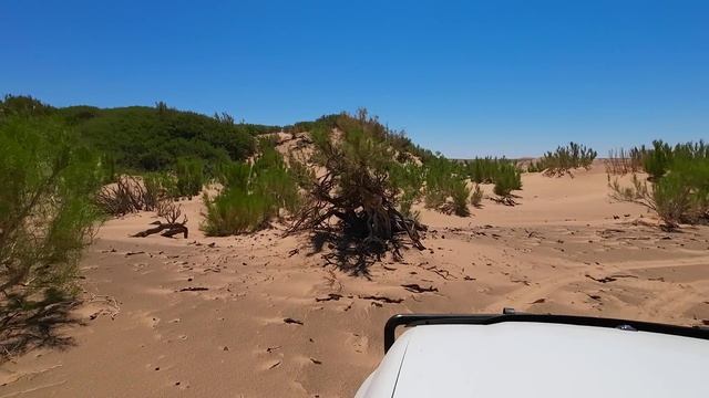 Часть 3  Монголия.  Пустыня Гоби. Июль, 2023г.