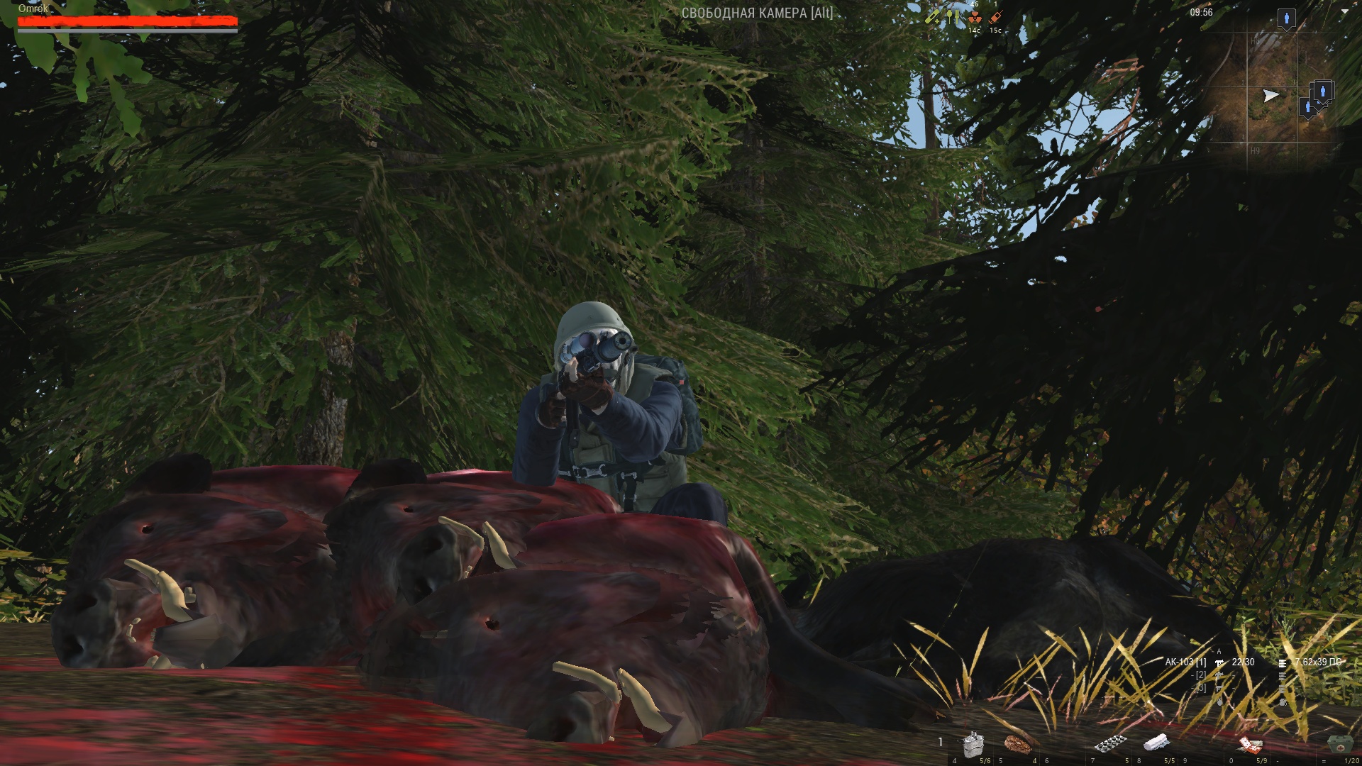 #Эгида !!! Нет фарма лучше чем Кабанчики ?