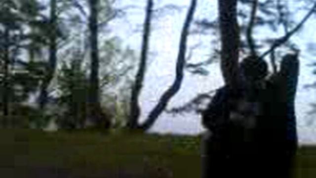 Сергеева не затормозила.