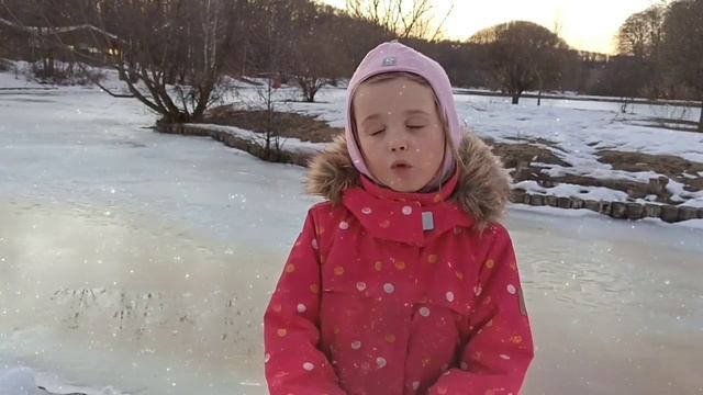 Монтянова Вера - ГБОУ Школа№1575- Москва- Дневник юнната.mp4