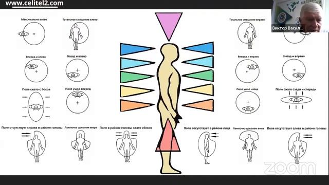 Восстановление эндокринной системы у детей и взрослых. Руденко В.В. Академия Целителей.mp4