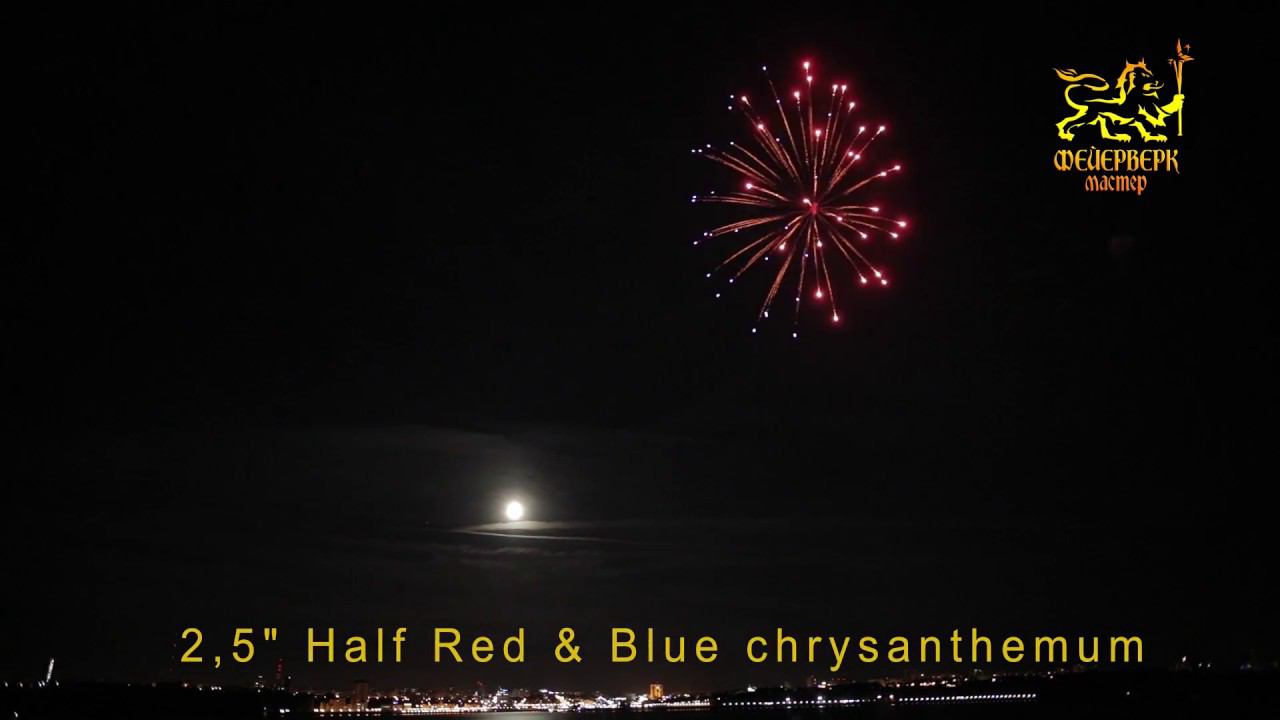 2,5" Half Red & Blue chrysanthemum