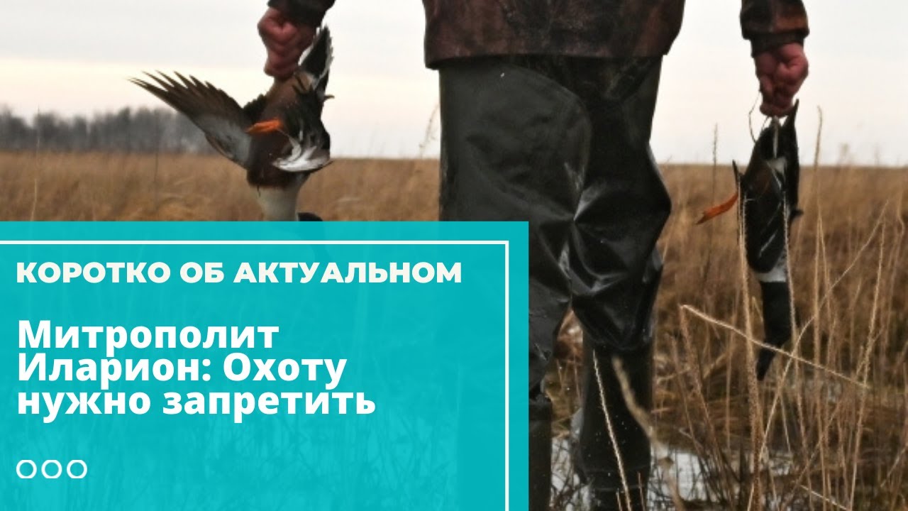 Охоту как развлечение нужно запретить