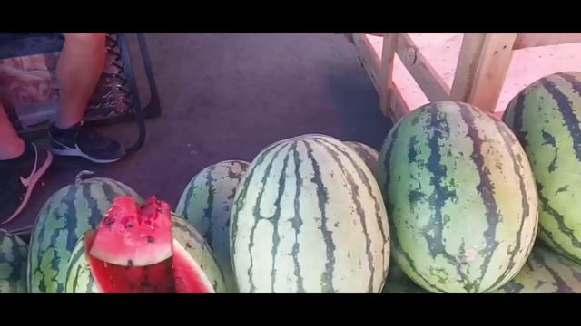 Дневник Агронома №13 Ответы на вопросы. Актуальный рынок. Поле.